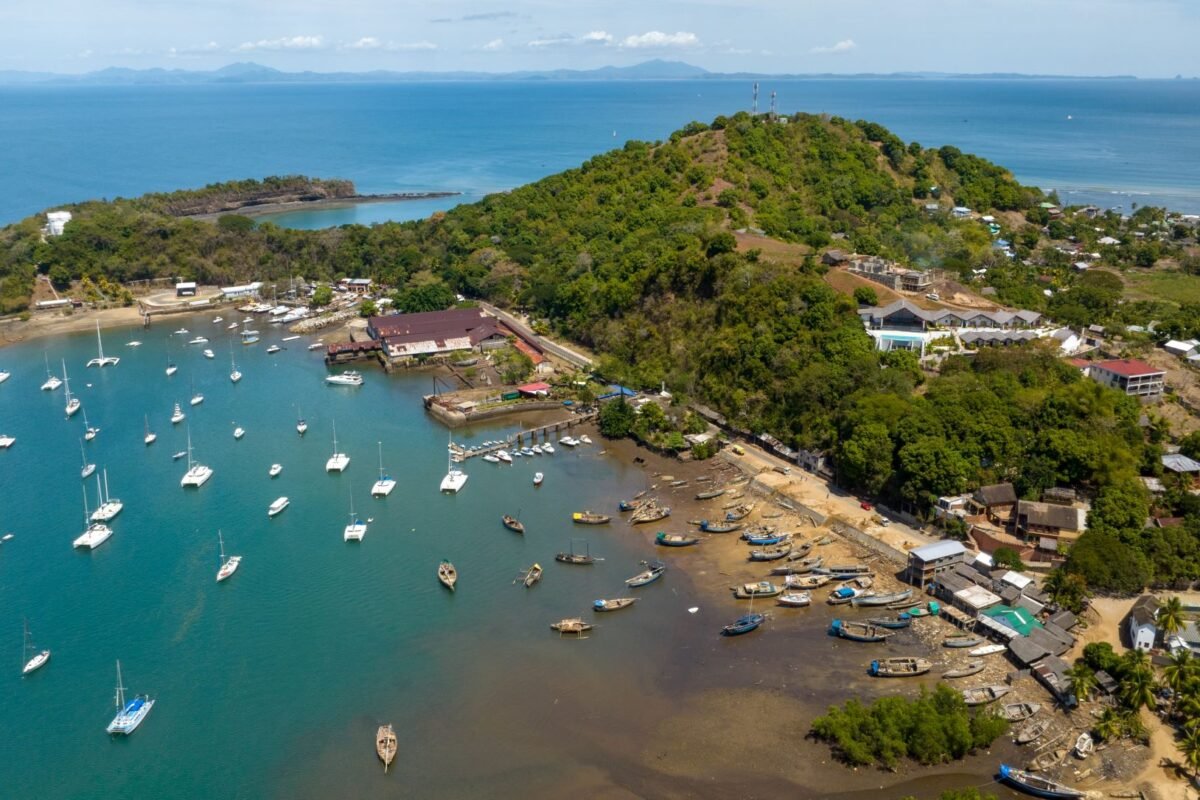 Sailing Doodles: Turning Nautical Dreams into a Global Seafaring ...