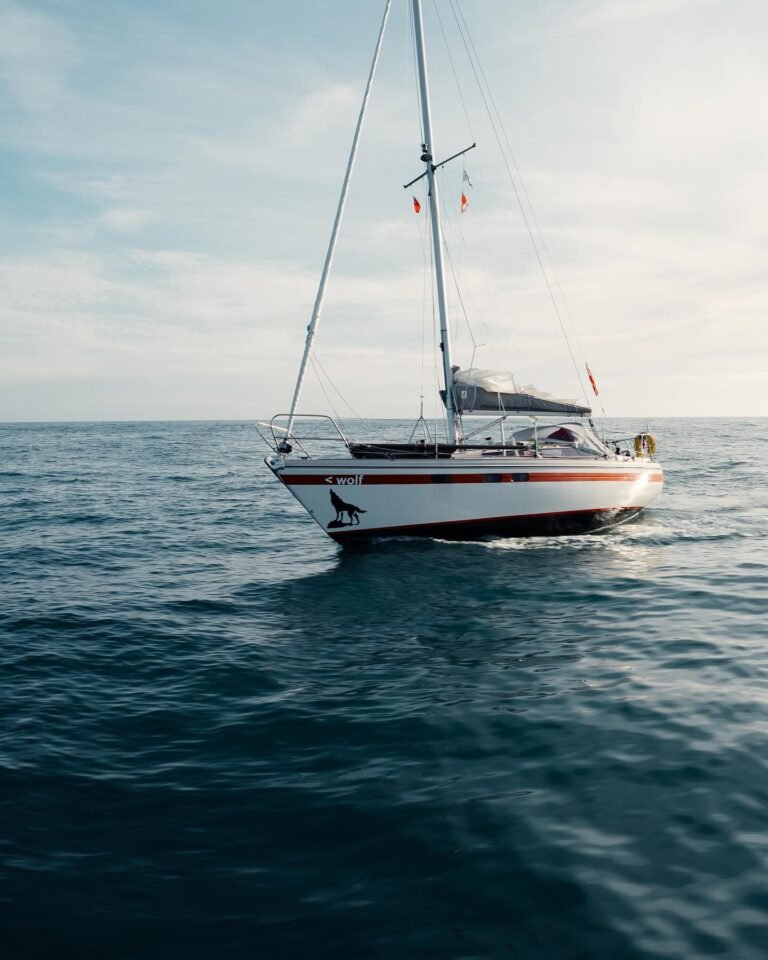 Jakob Lang Sailing: A Teenager’s Solo Voyage to Save the Oceans—From ...