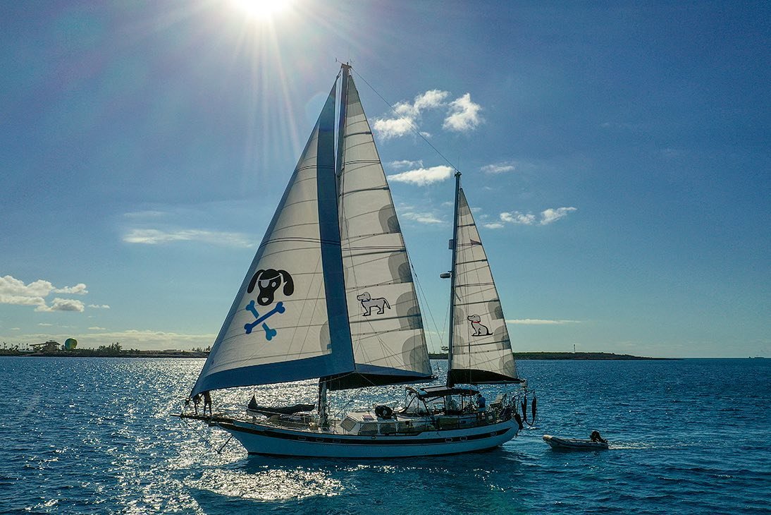 Sailing Doodles: Turning Nautical Dreams into a Global Seafaring ...